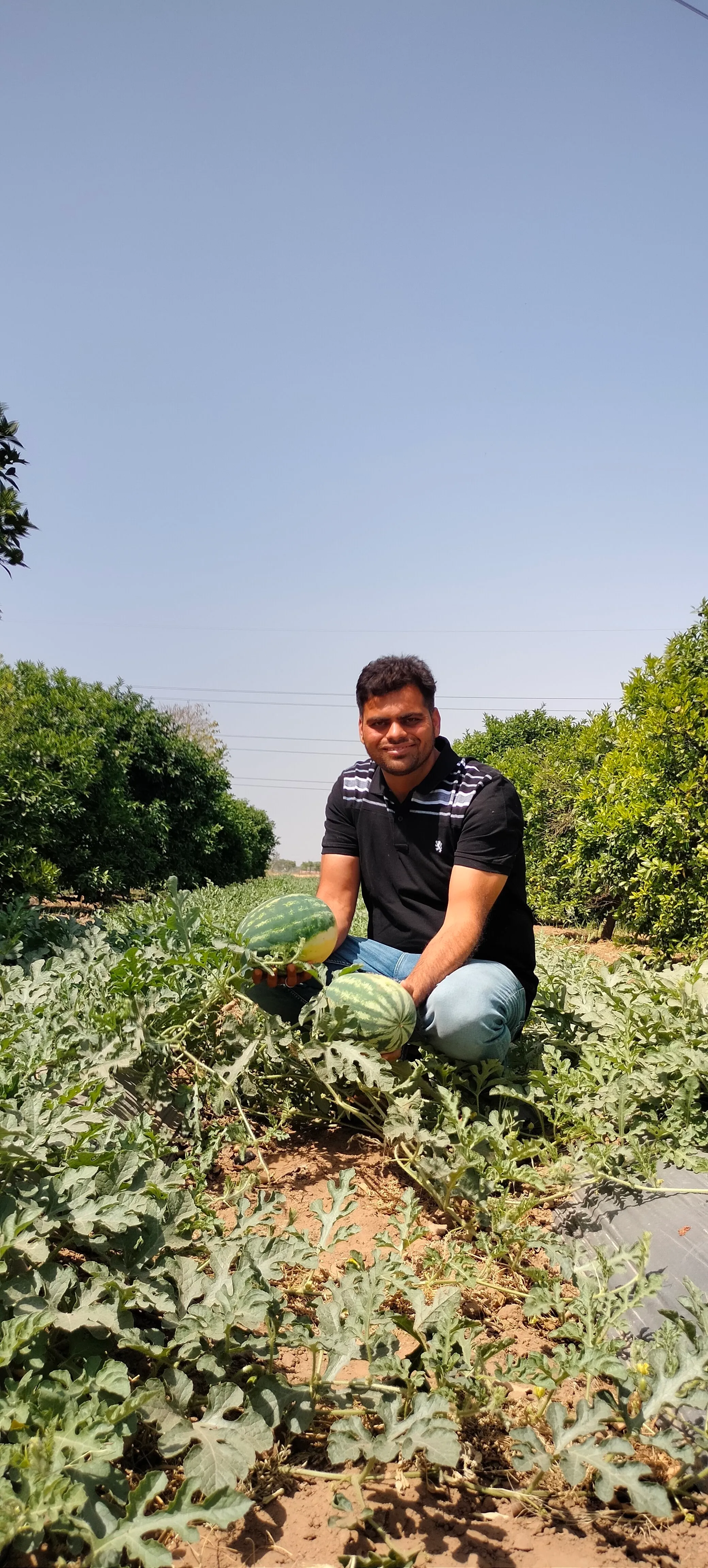 Dhaam Organic- Organic Food